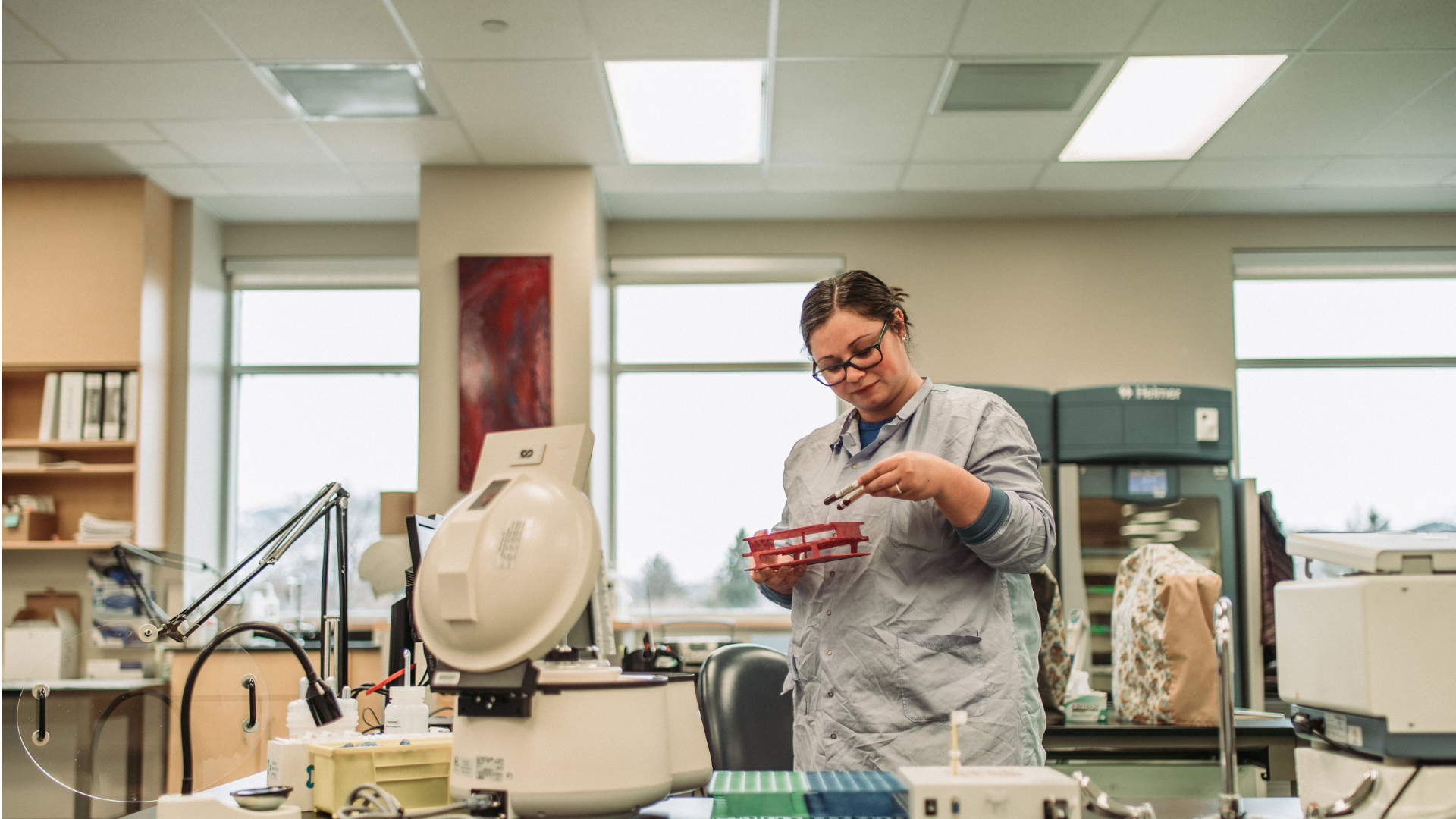 Transfusion Medicine Services | Laboratory Services Guide | IH